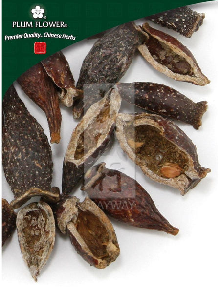 Rosa laevigata fruit, Whole Herb, 500 grams – Chinese Herbs Direct